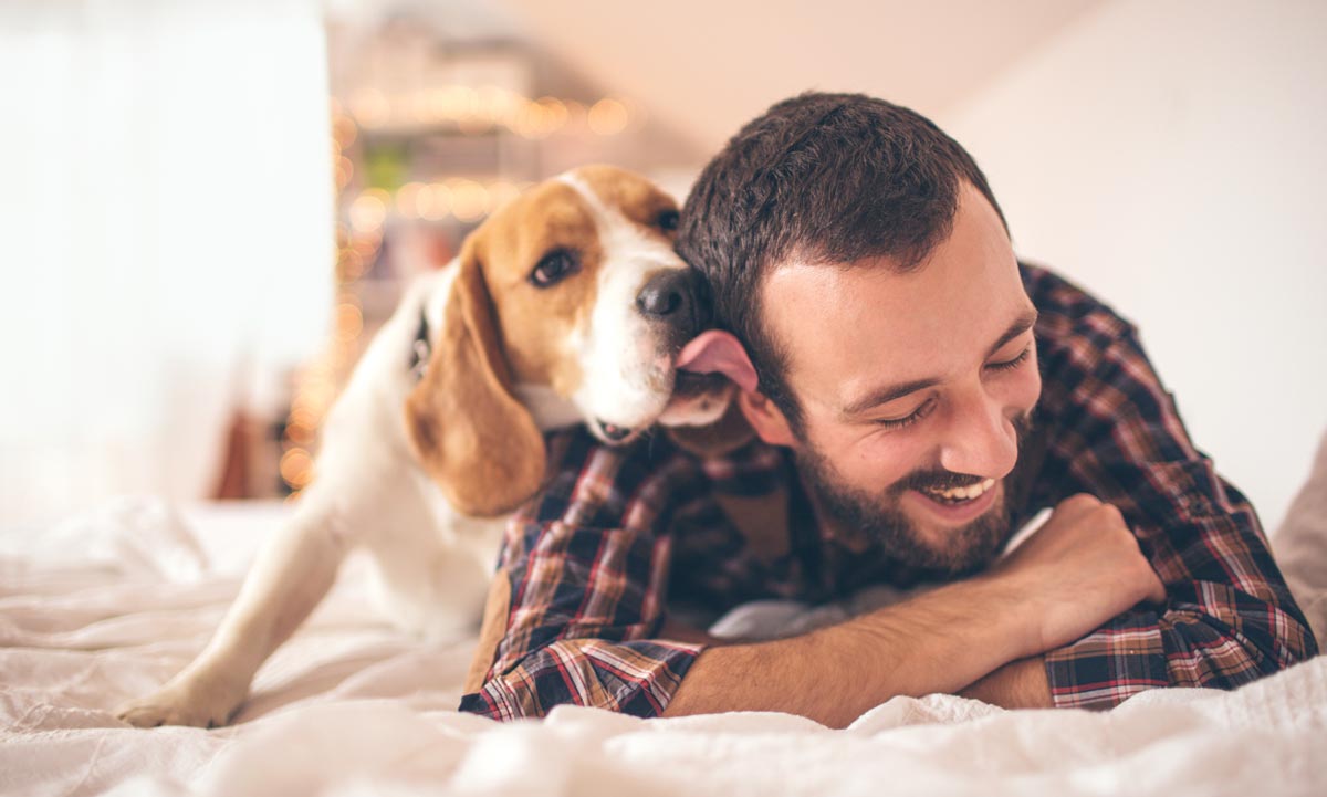 10 most common dog health problems - Dig-In