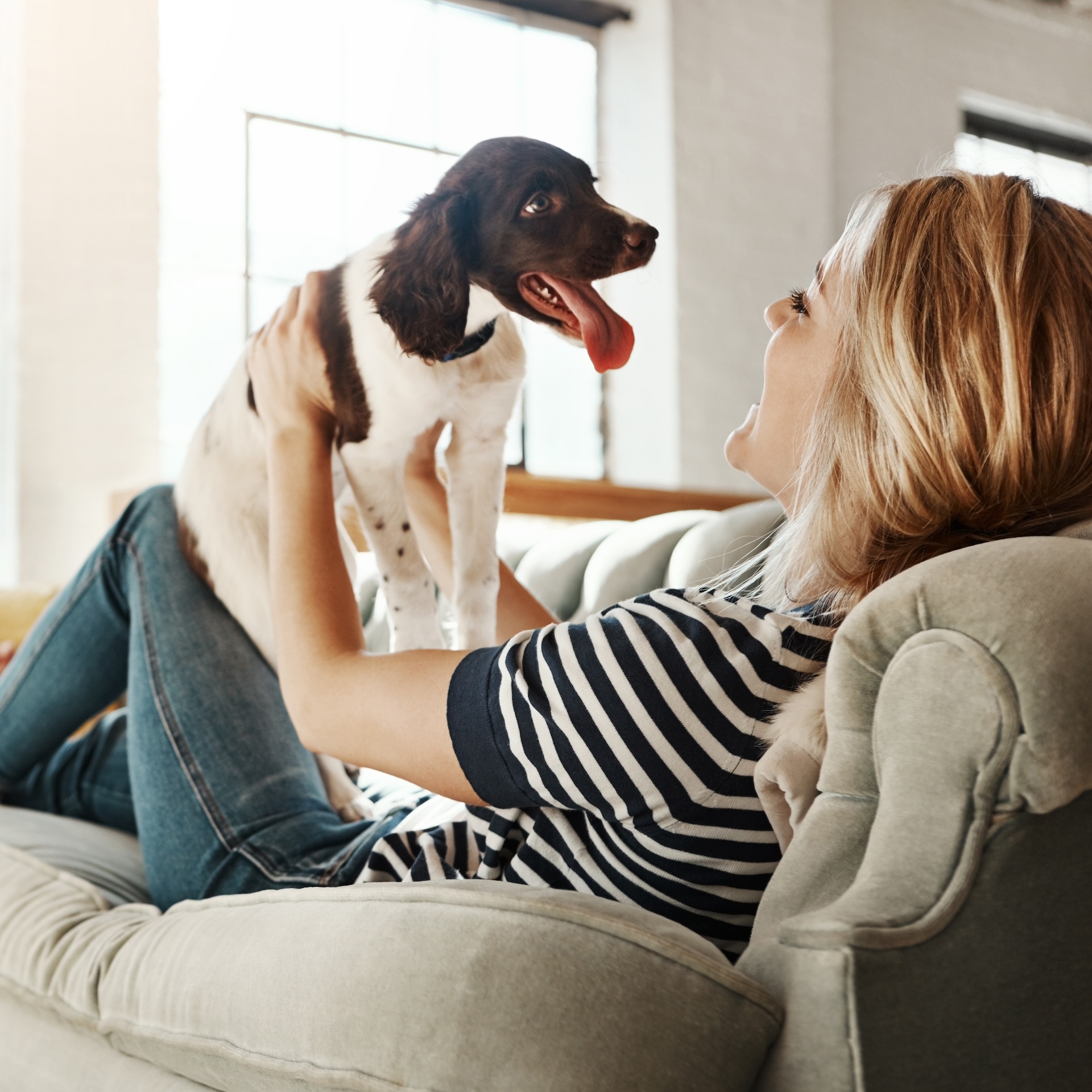 5 Things You Can Do to Keep Your Canine Friend Happy and Healthy in ...